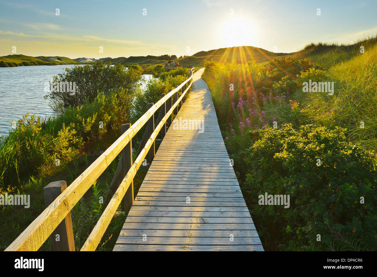 Amrum germany boardwalk amrum hi-res stock photography and images - Alamy