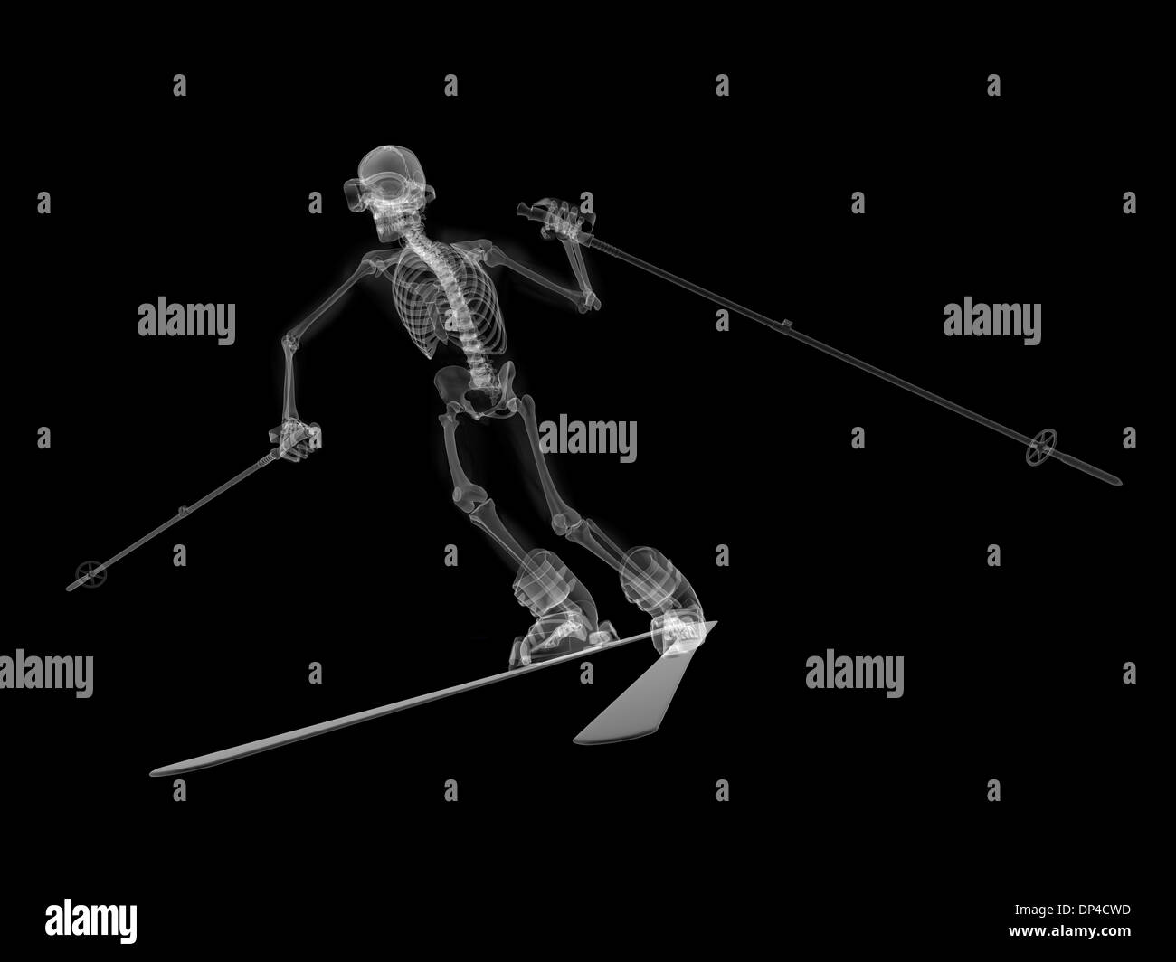 Skeleton skiing artwork hi-res stock photography and images - Alamy