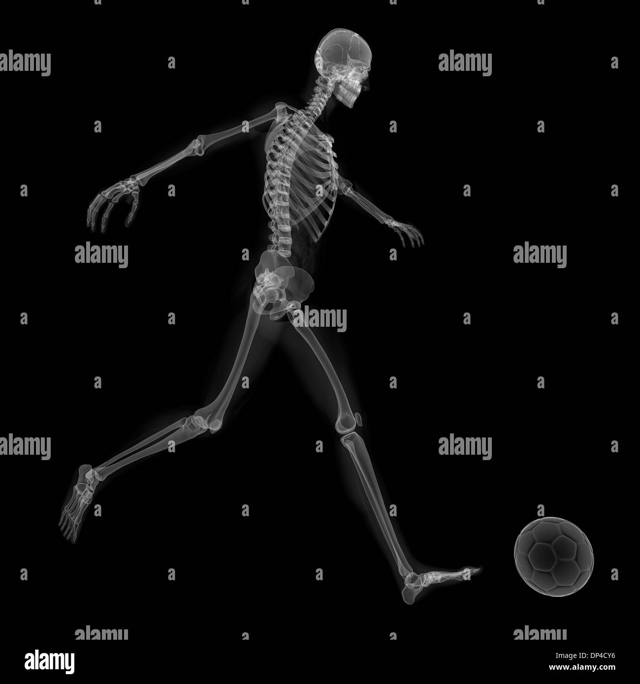 Skeleton playing football, artwork Stock Photo - Alamy