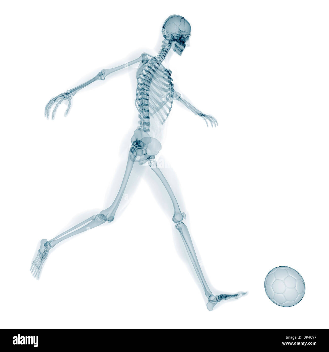 Skeleton playing football, artwork Stock Photo - Alamy