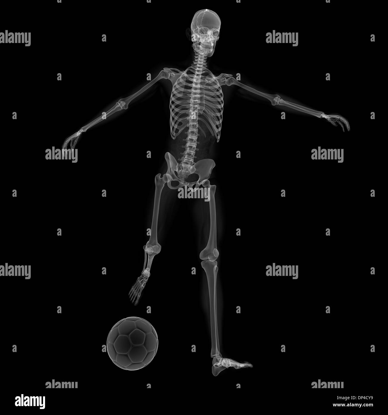 Skeleton playing football, artwork Stock Photo - Alamy