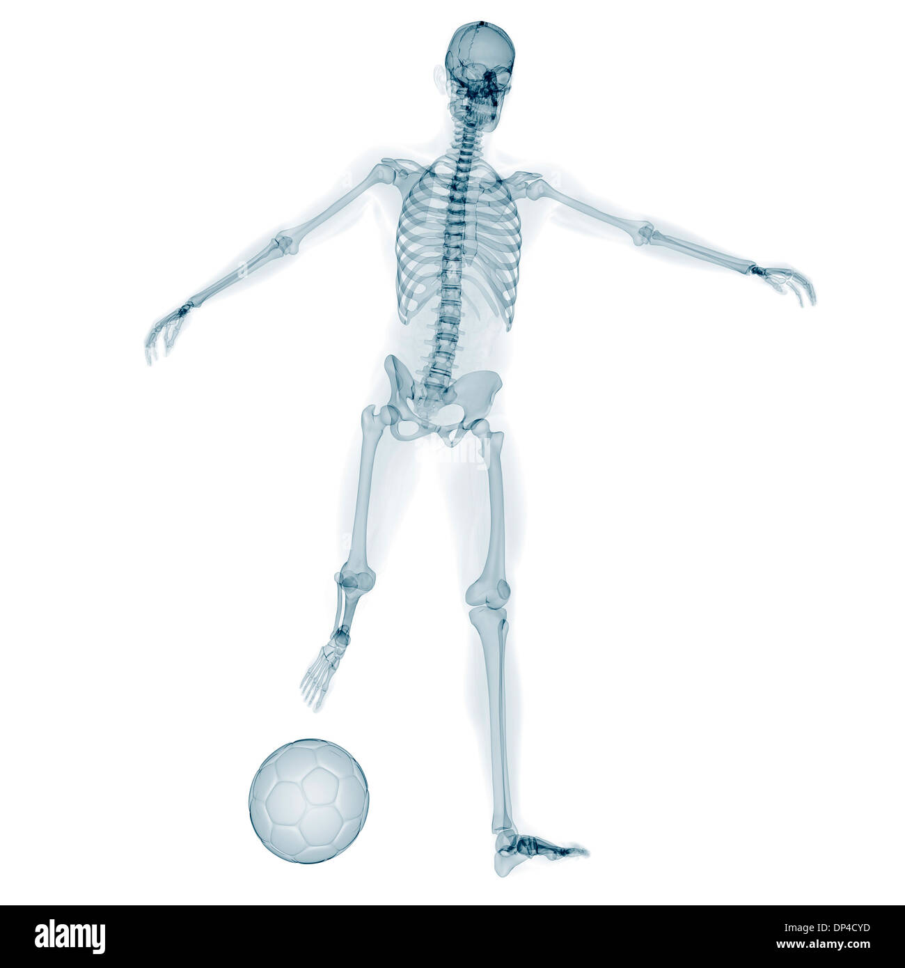 Skeleton playing football, artwork Stock Photo - Alamy