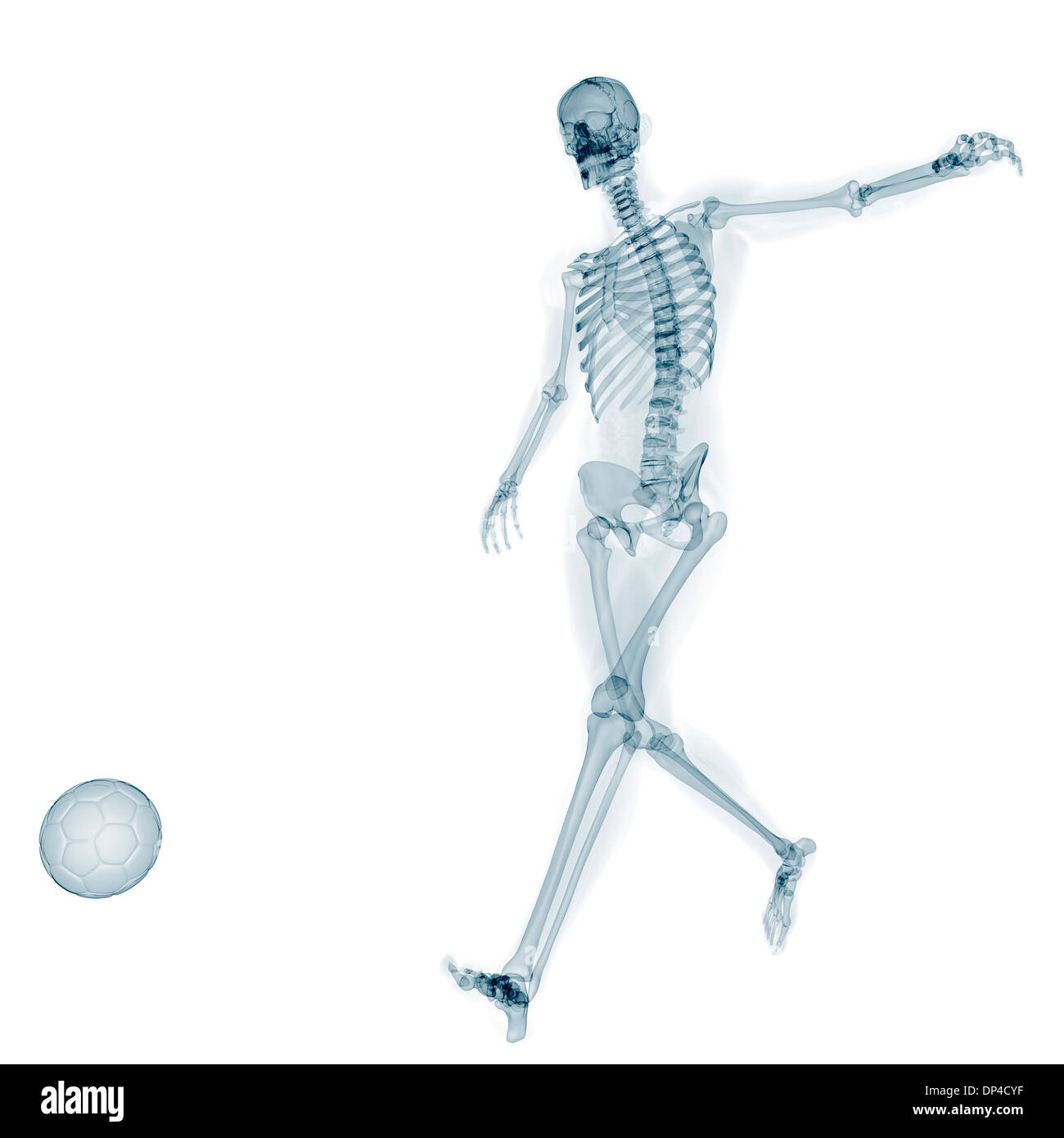 Skeleton playing football, artwork Stock Photo - Alamy