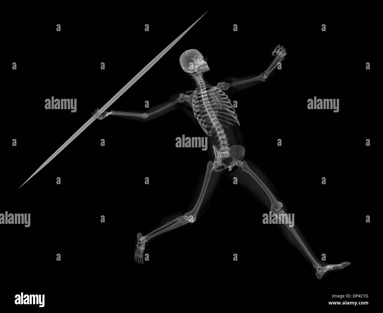 Skeleton throwing javelin, artwork Stock Photo - Alamy