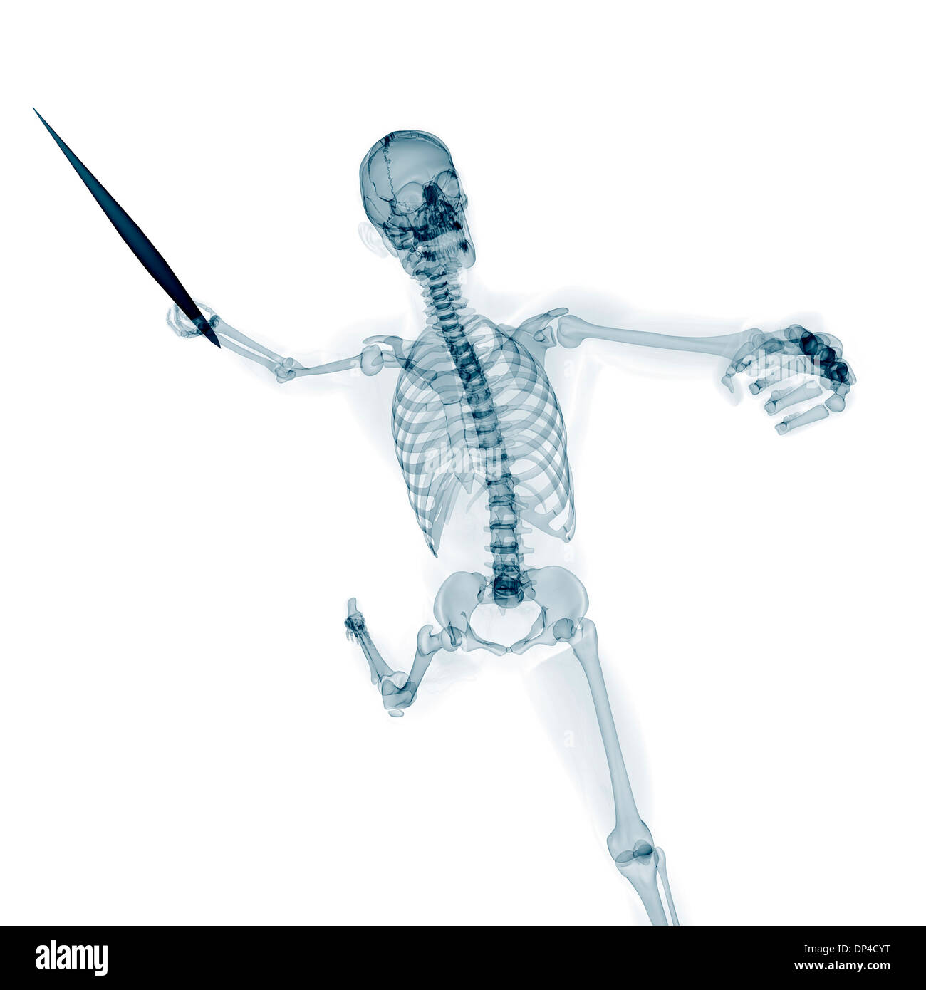 Skeleton throwing javelin, artwork Stock Photo - Alamy