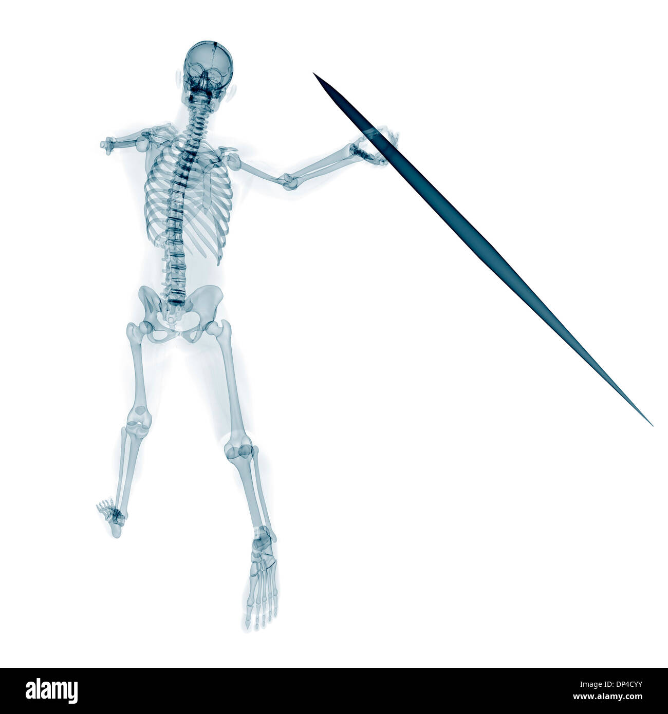Skeleton throwing javelin, artwork Stock Photo - Alamy