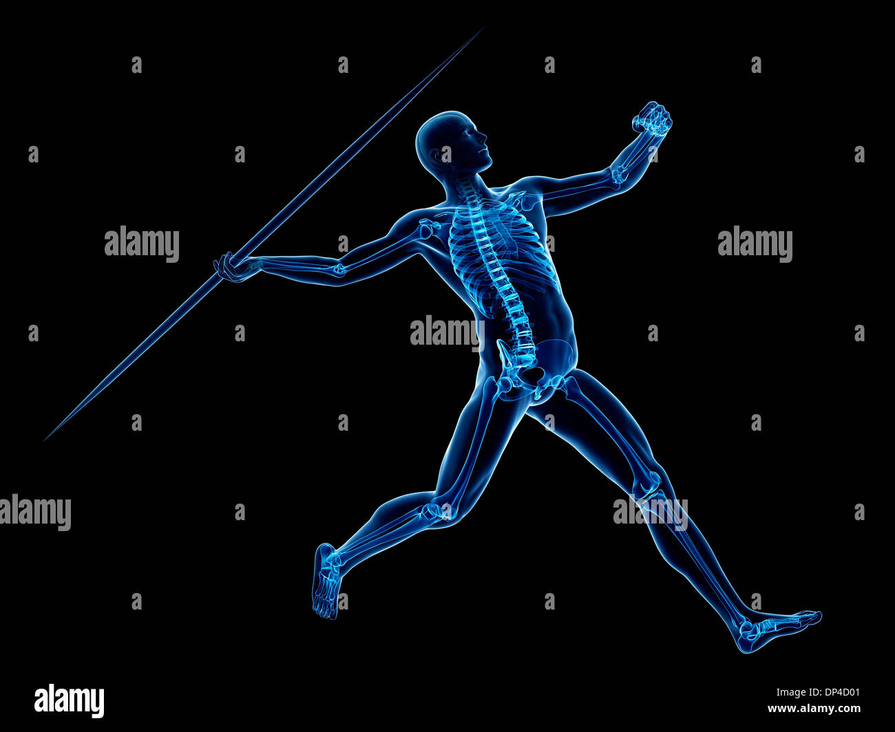 Skeleton throwing javelin artwork hi-res stock photography and images ...