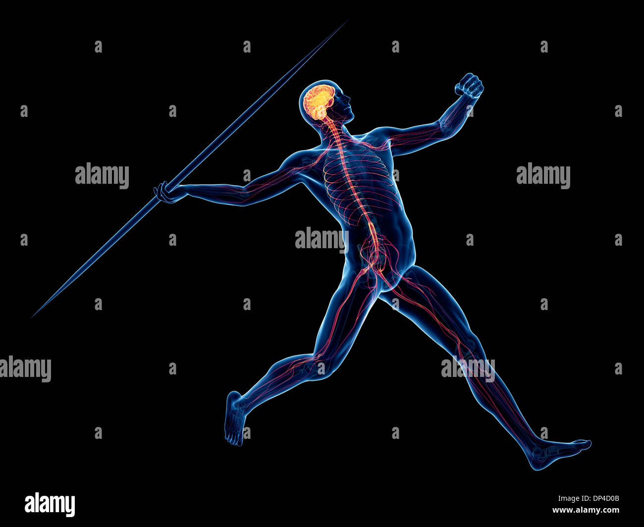 Full body view male nervous hi-res stock photography and images - Alamy