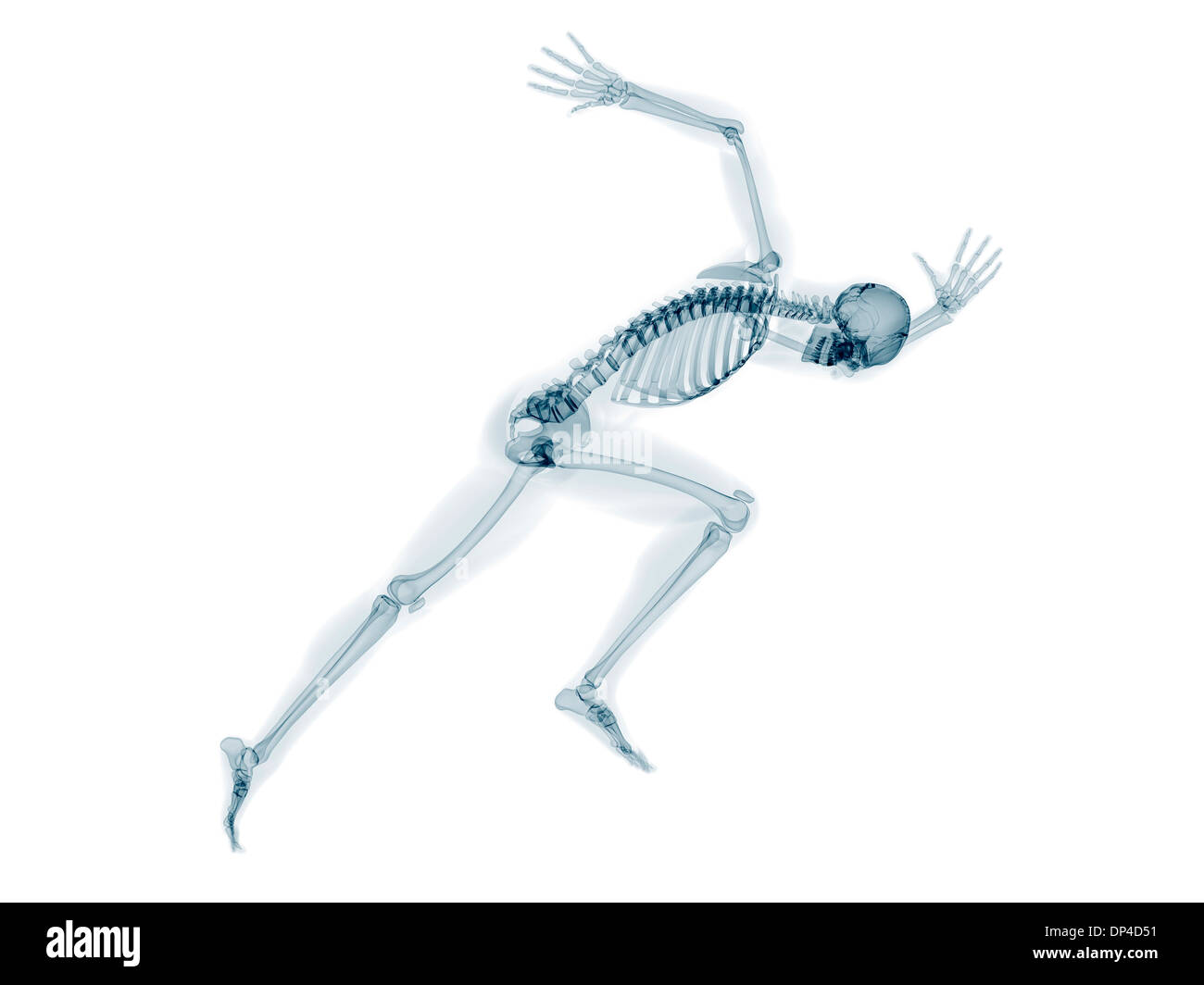 Skeleton sprinting, artwork Stock Photo - Alamy