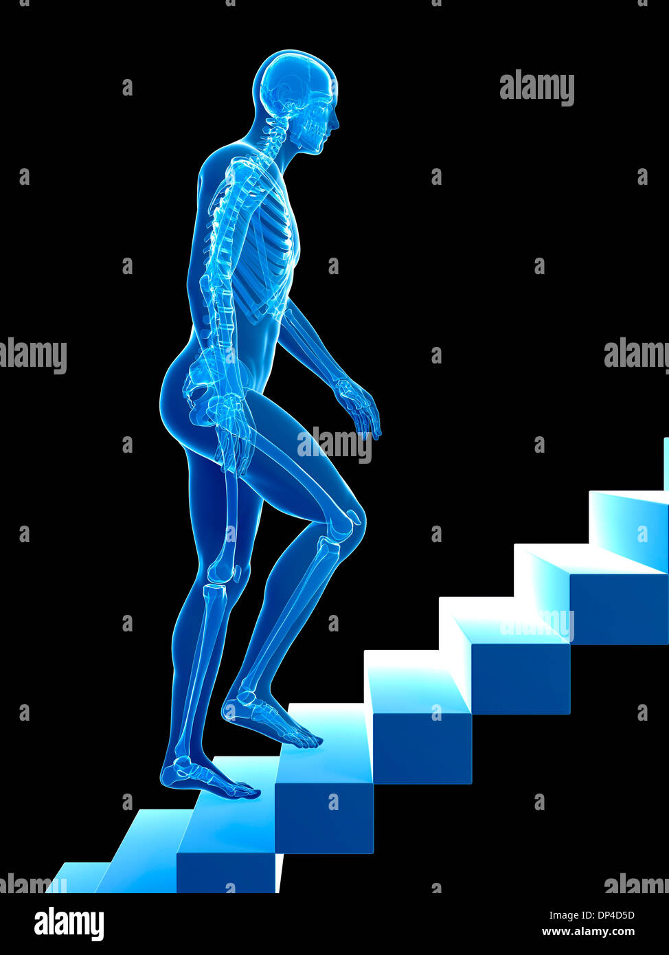 Skeleton climbing hi-res stock photography and images - Alamy