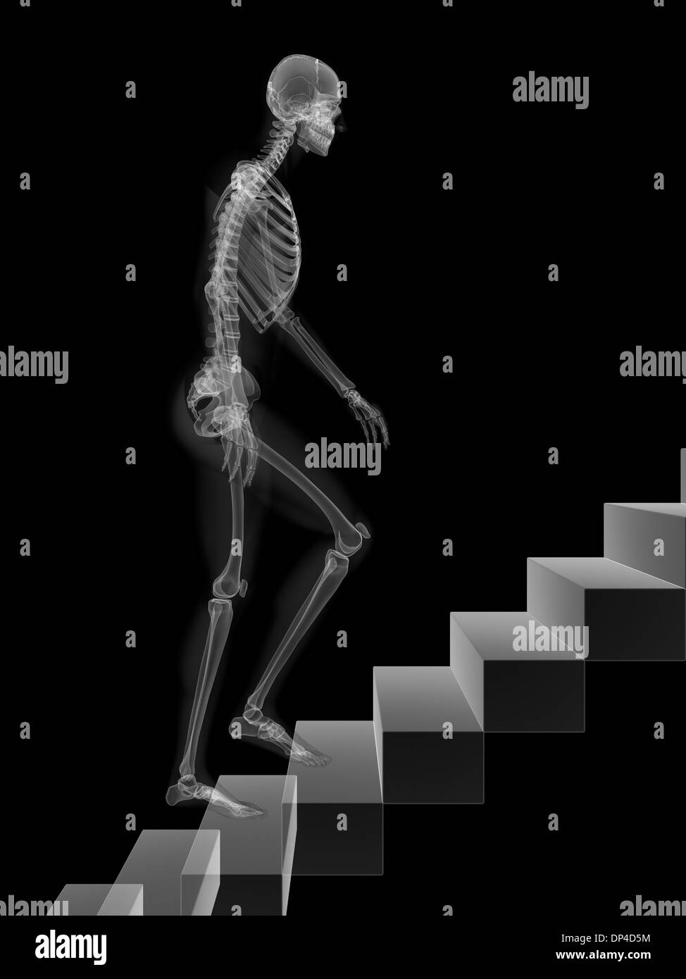 Skeleton walking up stairs, artwork Stock Photo - Alamy