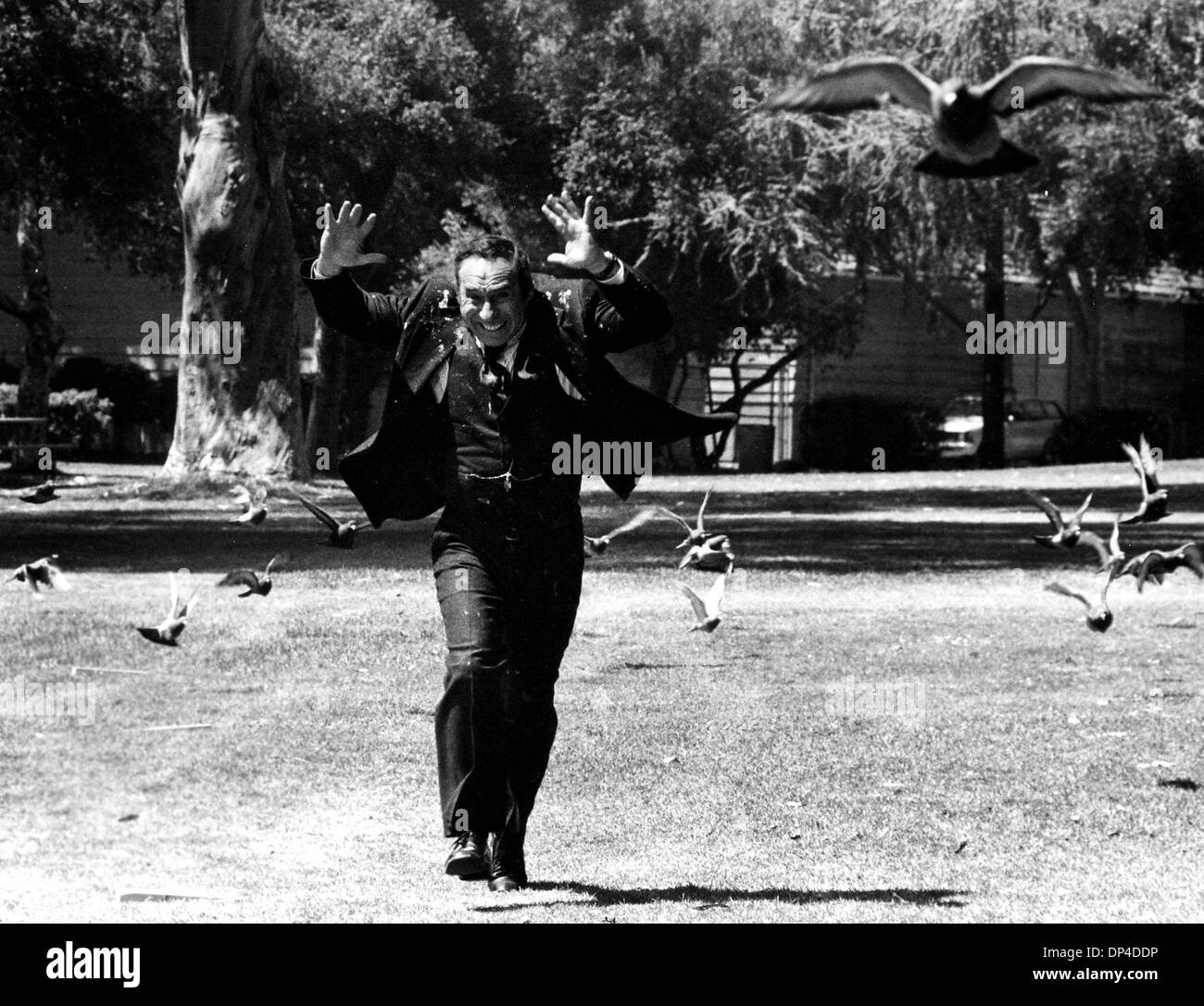 High Anxiety Birds Scene