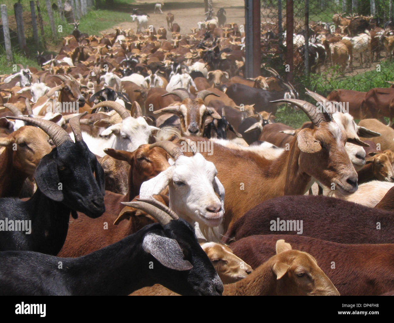 Internal bleeding hi-res stock photography and images - Alamy