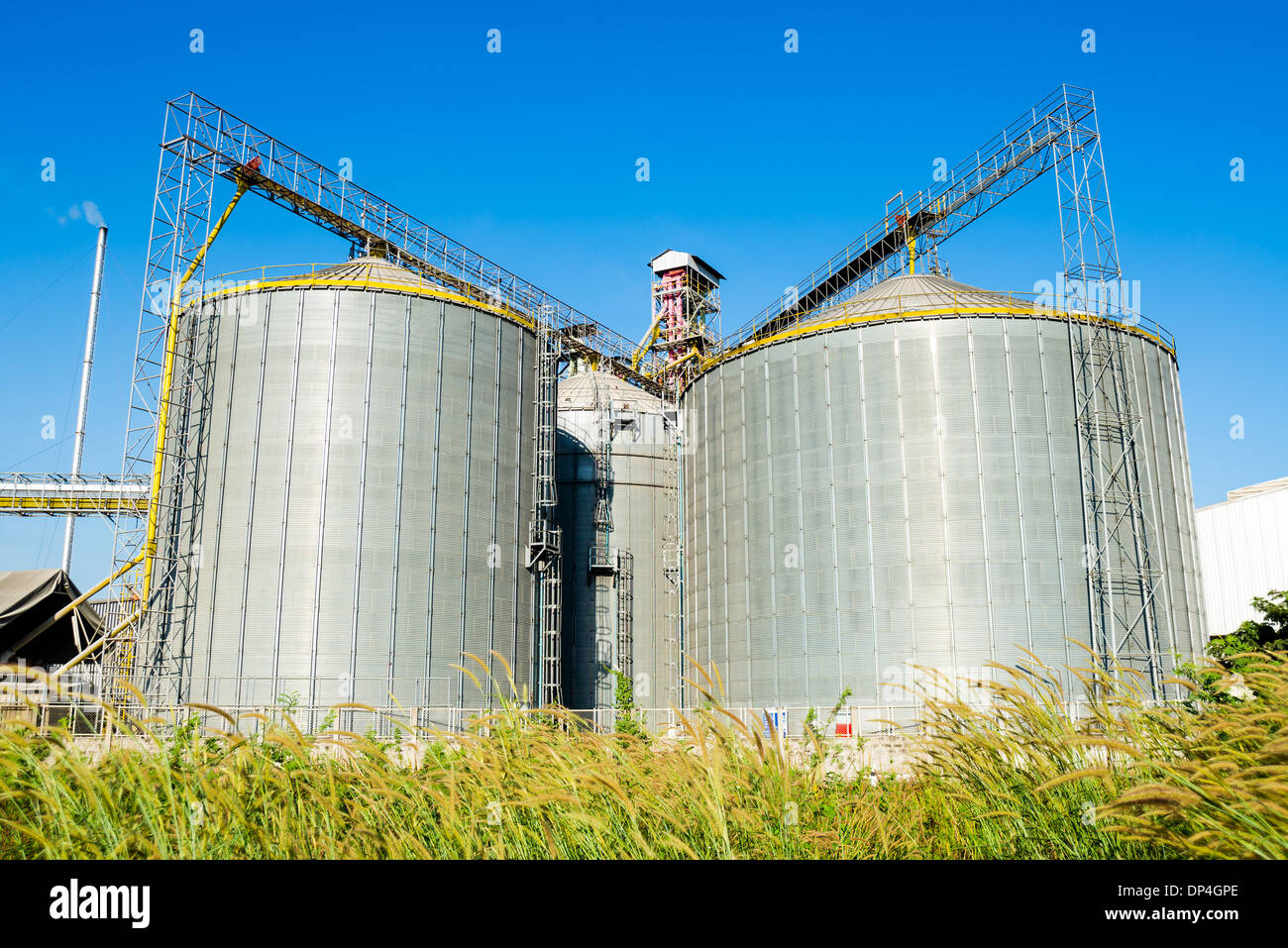 Animal feed manufacturing hi-res stock photography and images - Alamy