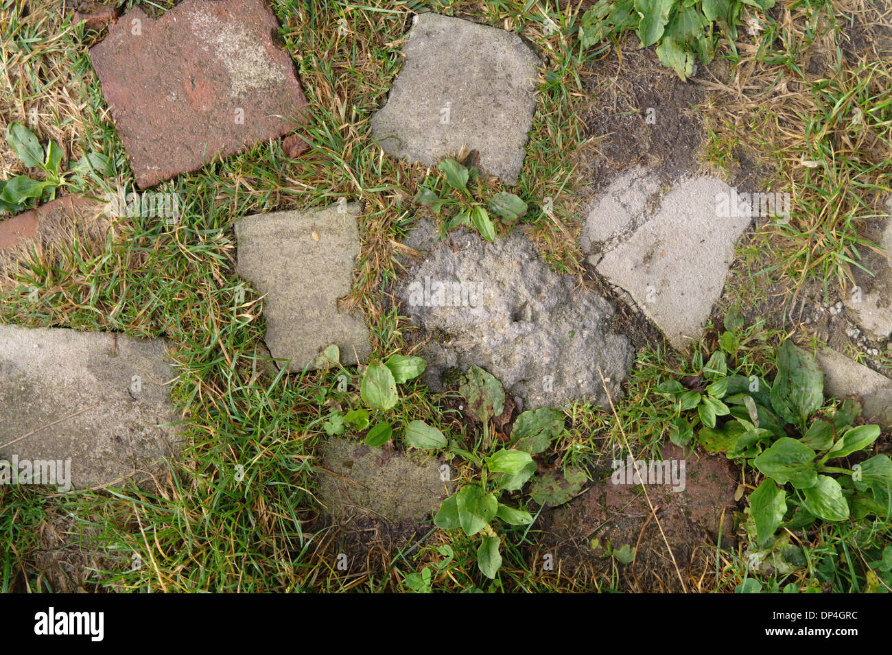 Rock Ground Texture High Resolution Stock Photography and Images - Alamy