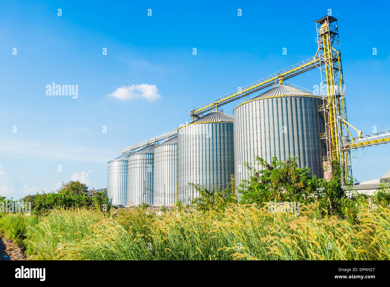 Animal feed manufacturing hi-res stock photography and images - Alamy