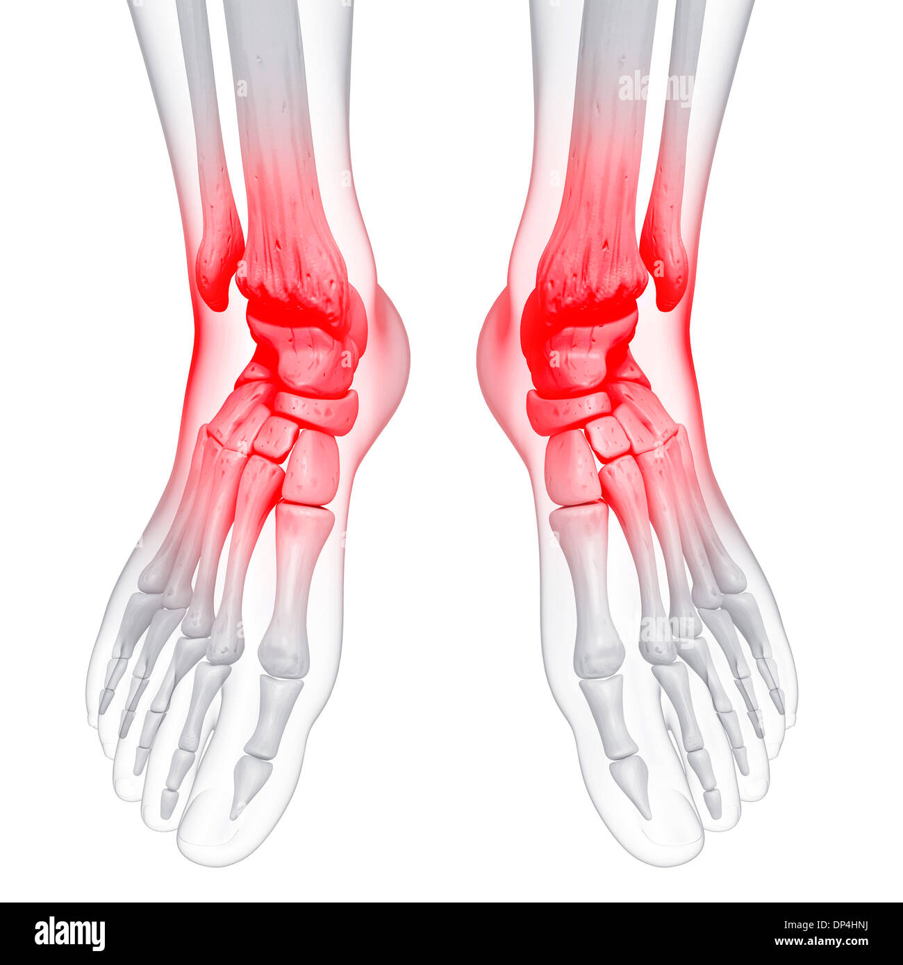 The arm or sometimes the ankle Cut Out Stock Images & Pictures - Alamy