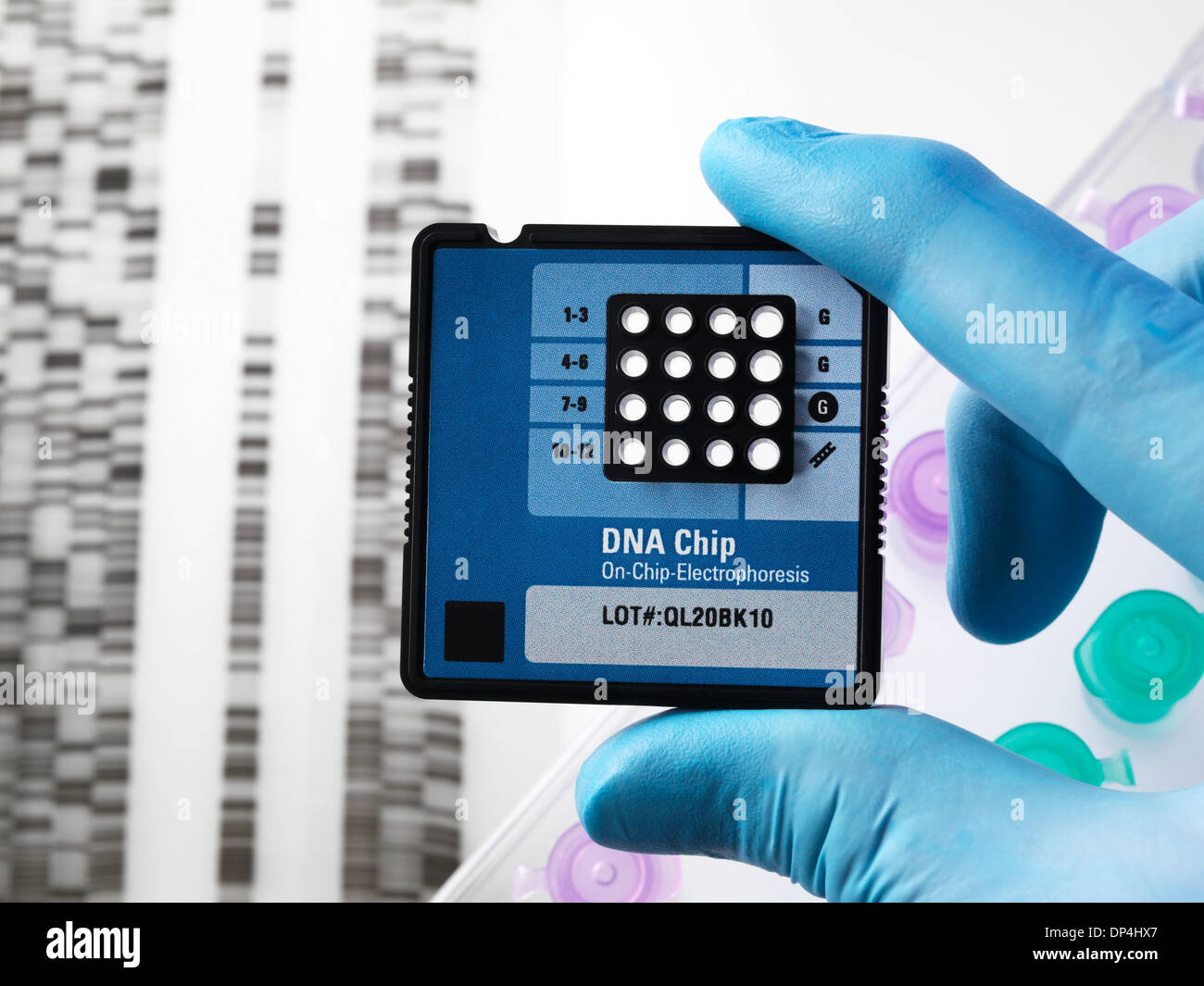 Genetics hi-res stock photography and images - Alamy