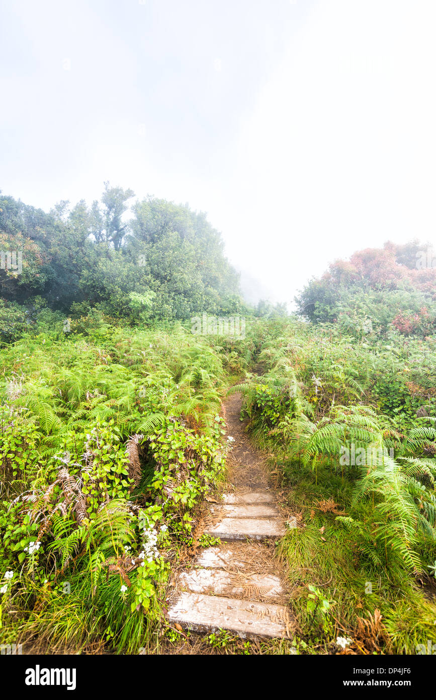 Pathway to field hi-res stock photography and images - Alamy