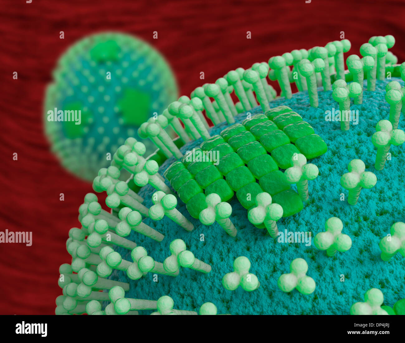 Flu virus particles, artwork Stock Photo - Alamy