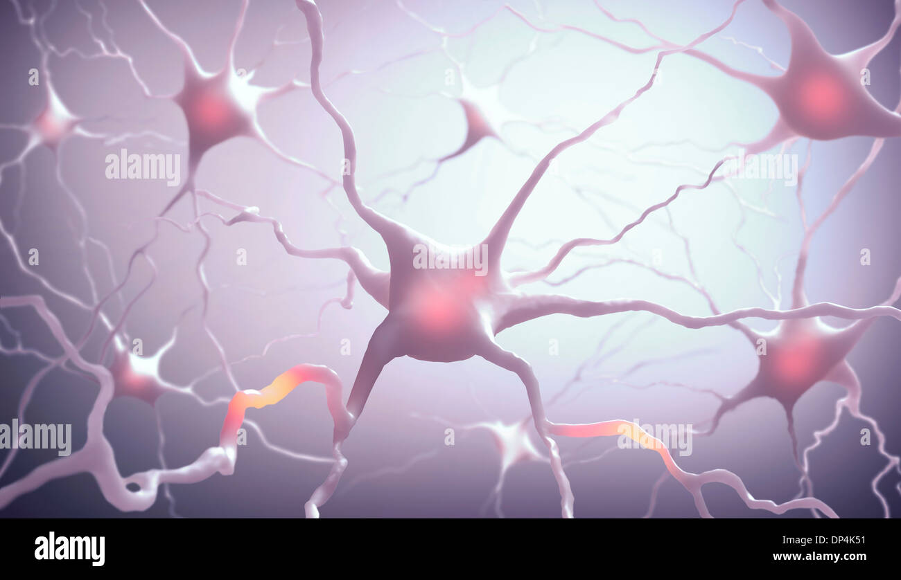 Neural network, artwork Stock Photo - Alamy