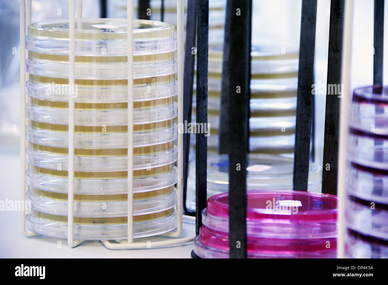 Health microbiology hi-res stock photography and images - Alamy