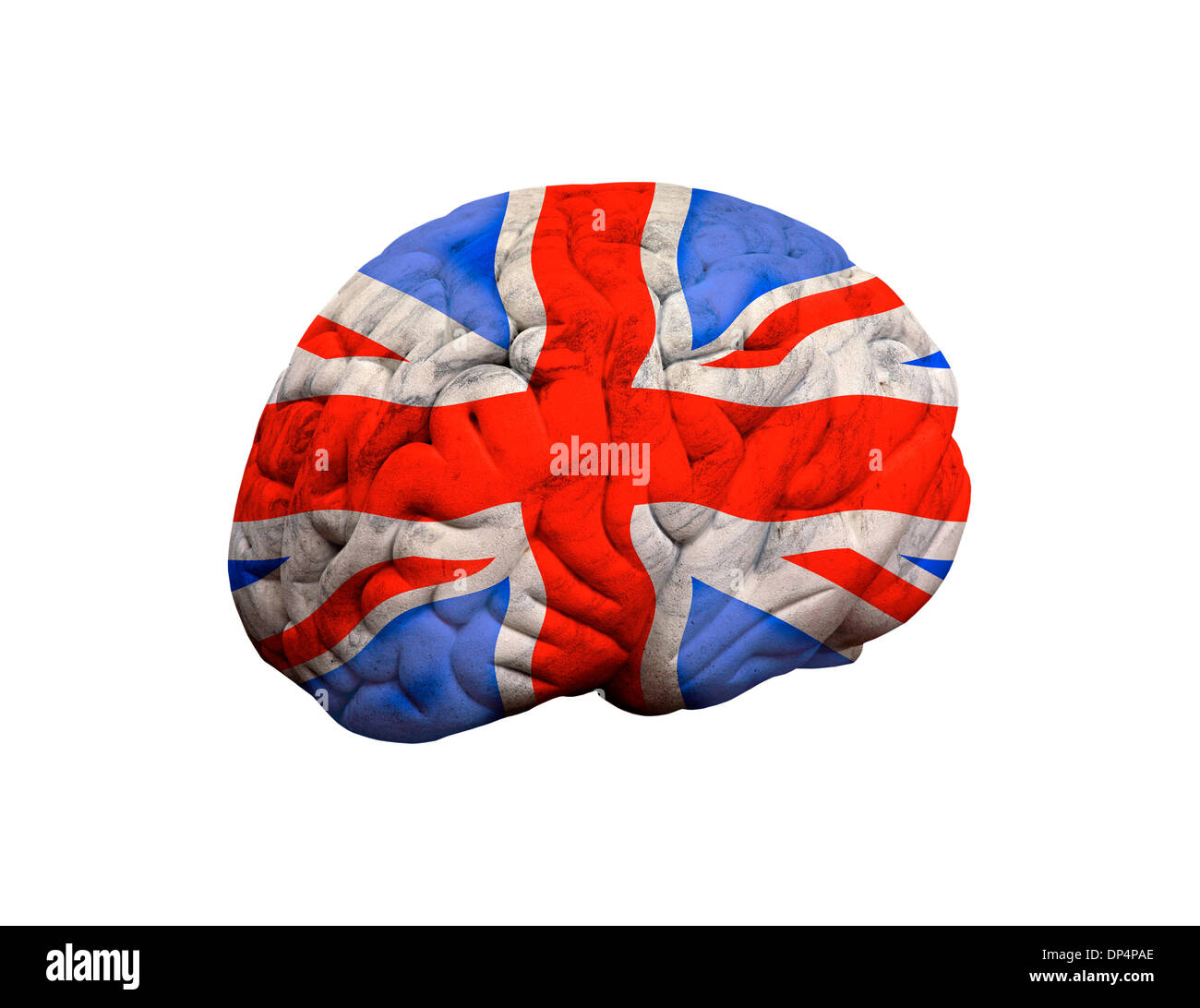 British brain, conceptual artwork Stock Photo - Alamy British brain, conceptual artwork Stock Photo - Alamy