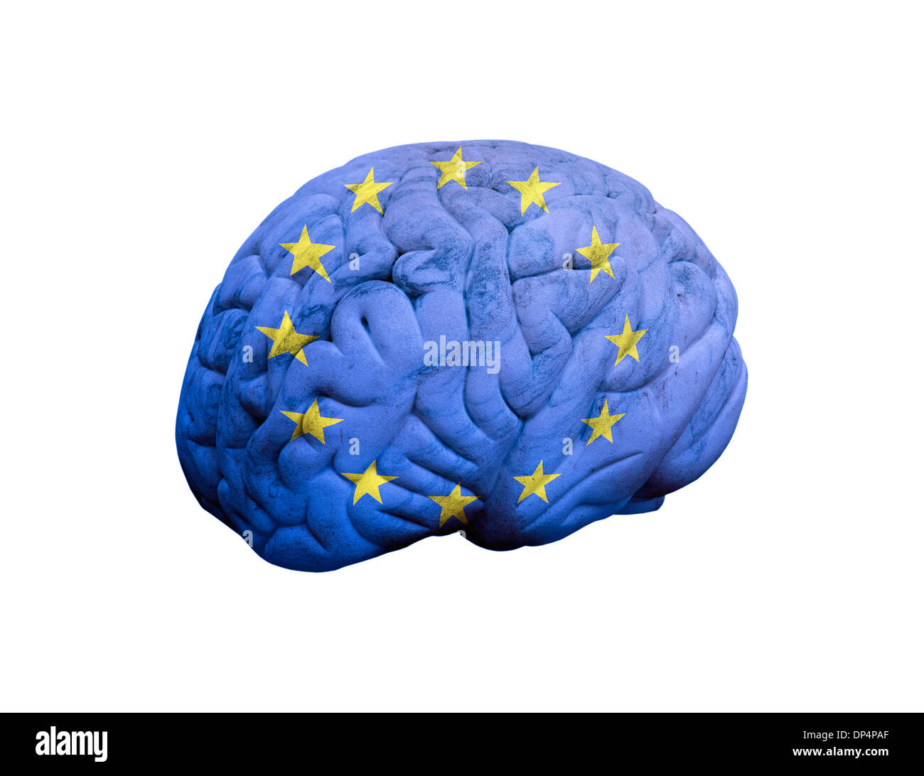 European brain, conceptual artwork Stock Photo - Alamy European brain, conceptual artwork Stock Photo - Alamy