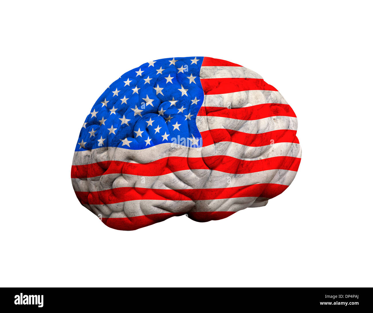 American brain, conceptual artwork Stock Photo - Alamy American brain, conceptual artwork Stock Photo - Alamy