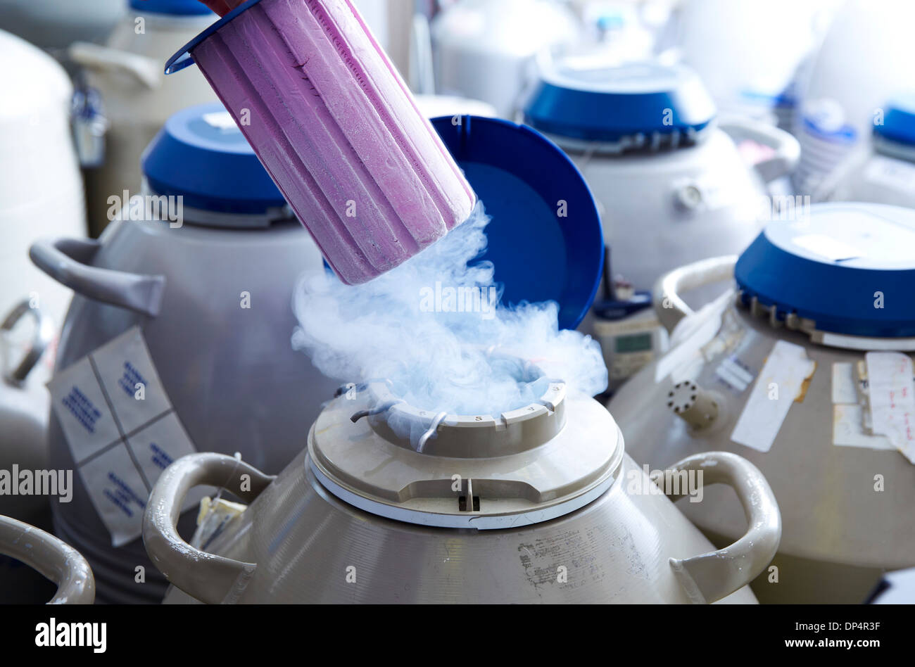 Cryogenic storage hi-res stock photography and images - Alamy