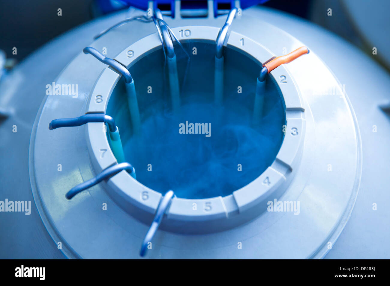 Cryostorage High Resolution Stock Photography and Images - Alamy