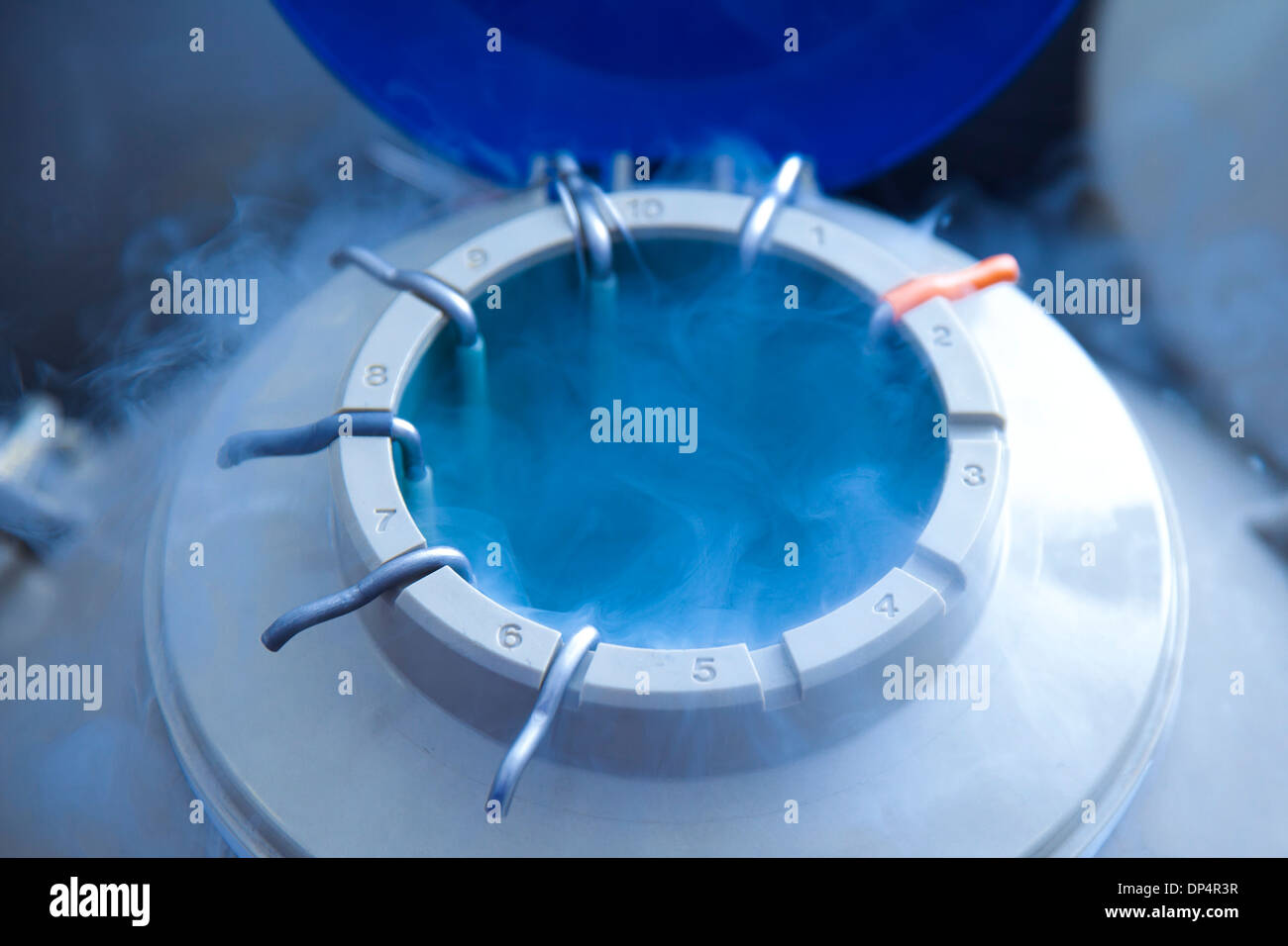 Egg storage for IVF Stock Photo - Alamy