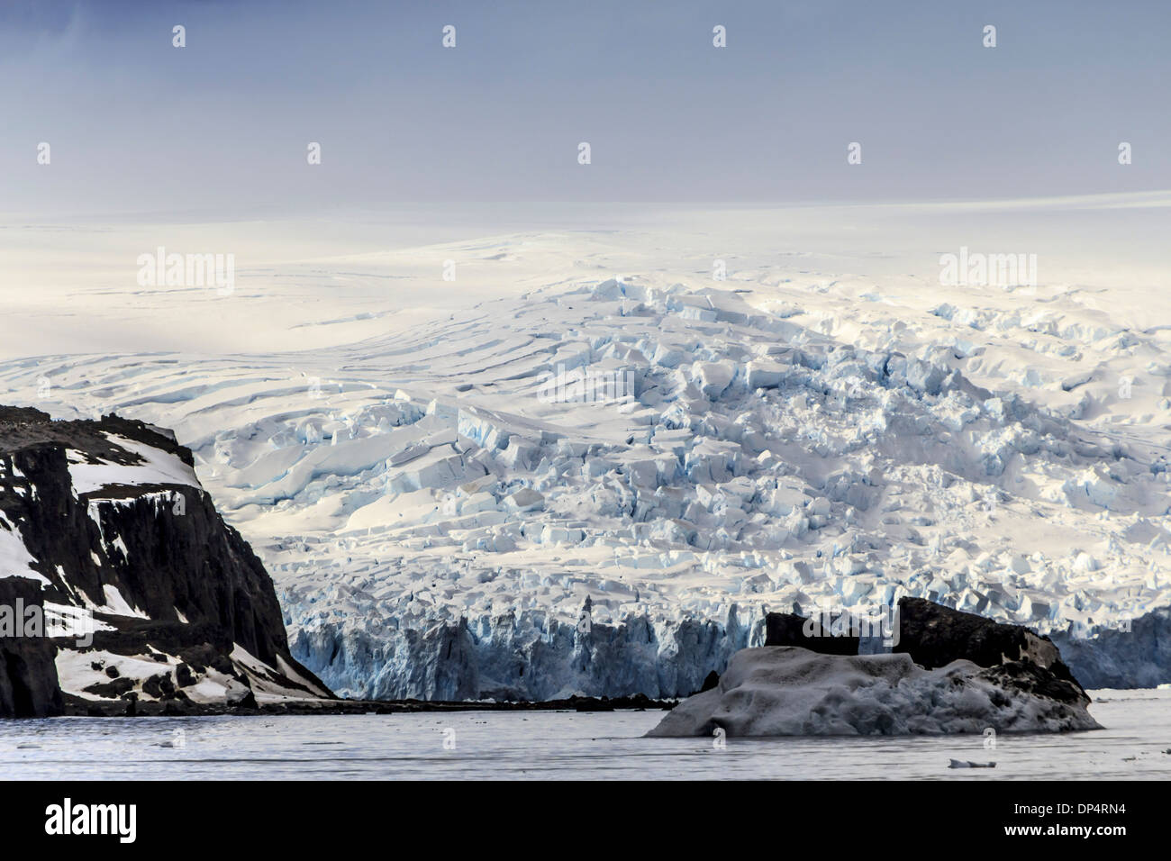 Penguin Island, Antarctica Stock Photo - Alamy