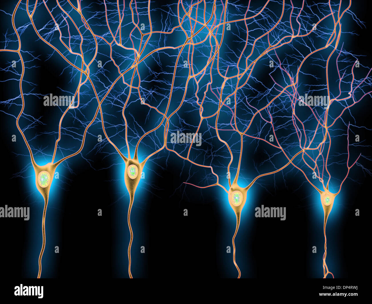Nerve cells, artwork Stock Photo - Alamy
