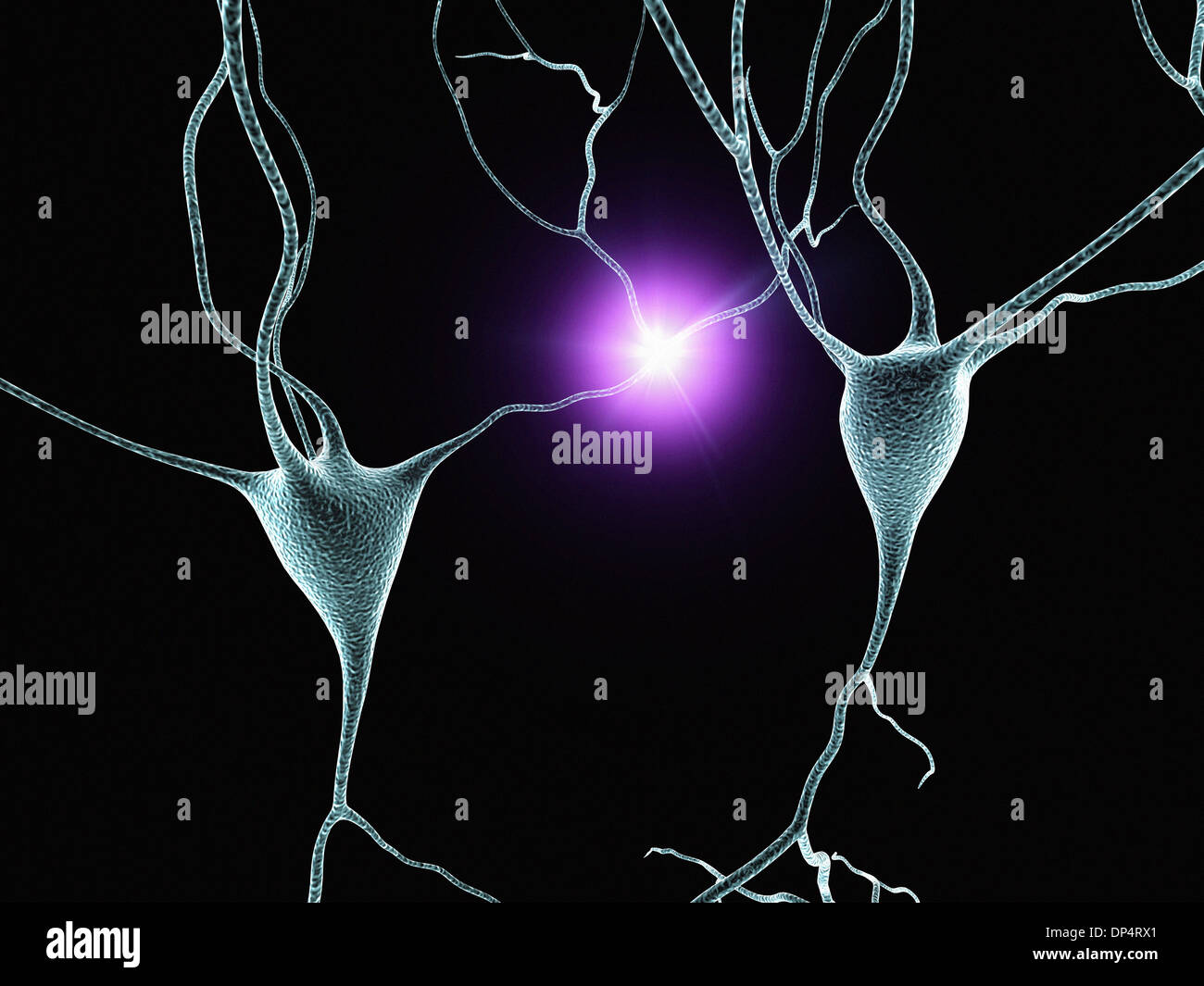 Nerve cells, artwork Stock Photo - Alamy