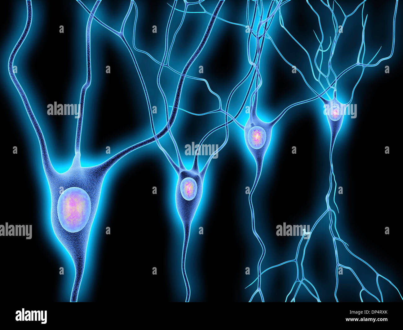 Nerve cells, artwork Stock Photo - Alamy