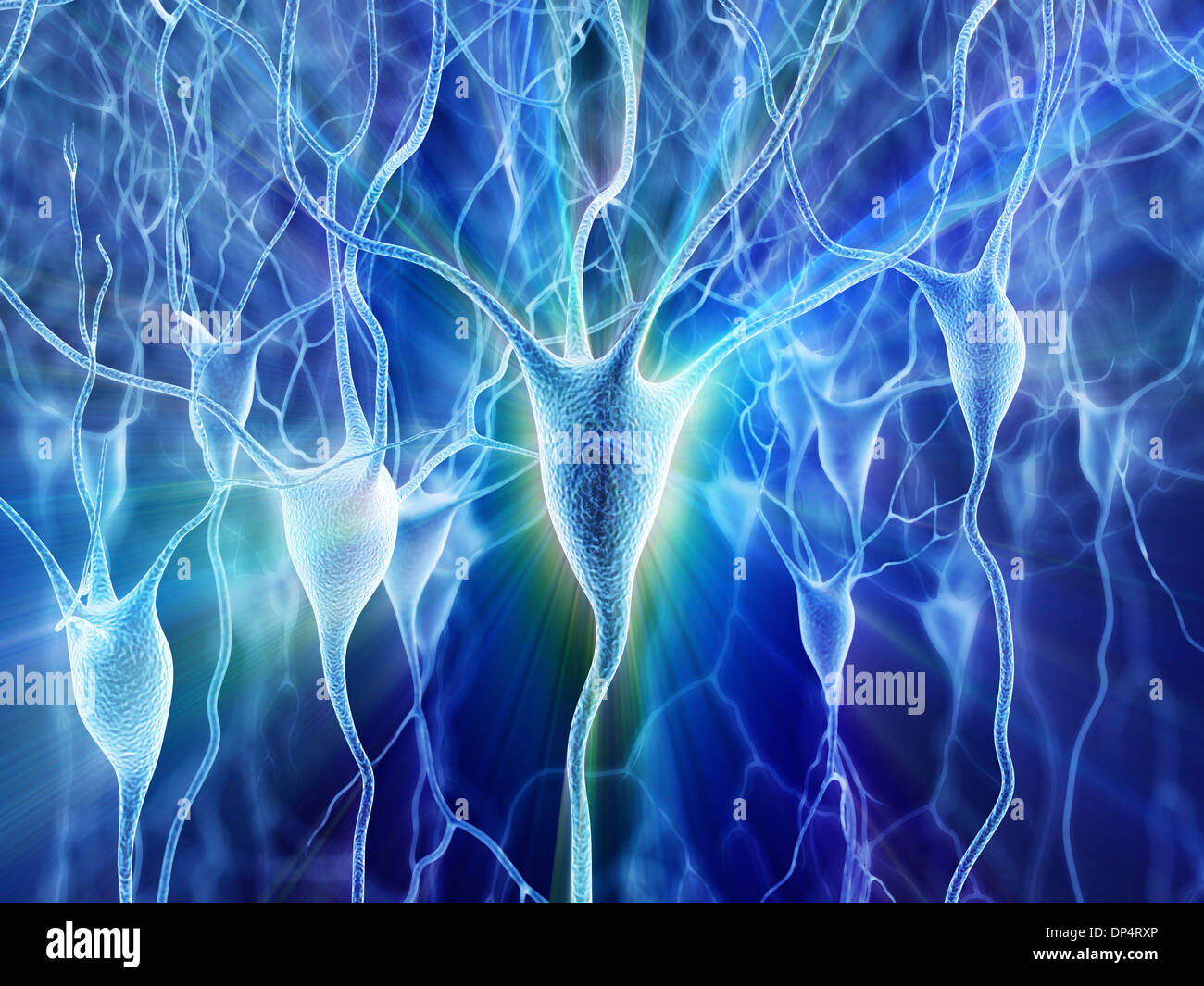Nerve cells, artwork Stock Photo - Alamy
