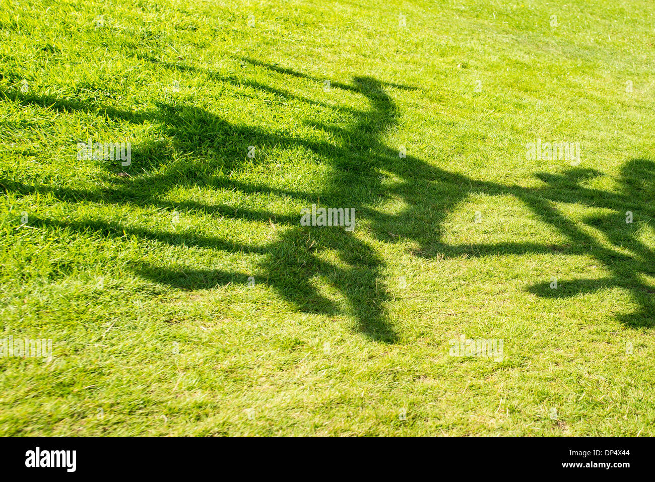 Chinese character tree hi-res stock photography and images - Alamy