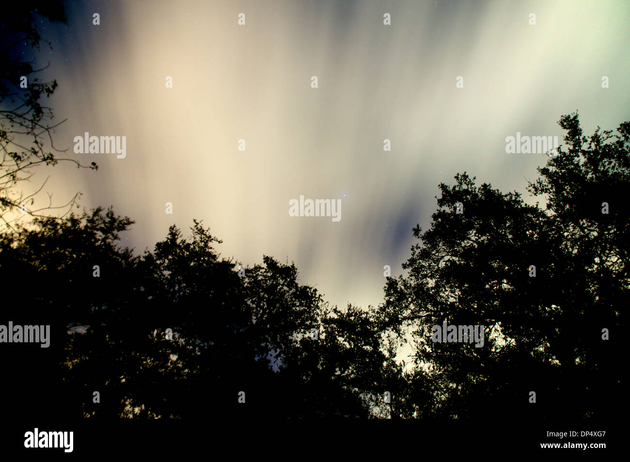 Stars through mist hi-res stock photography and images - Alamy