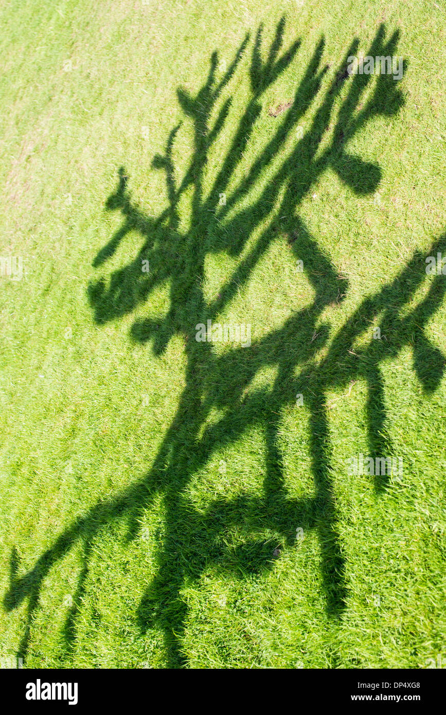 Chinese character tree hi-res stock photography and images - Alamy