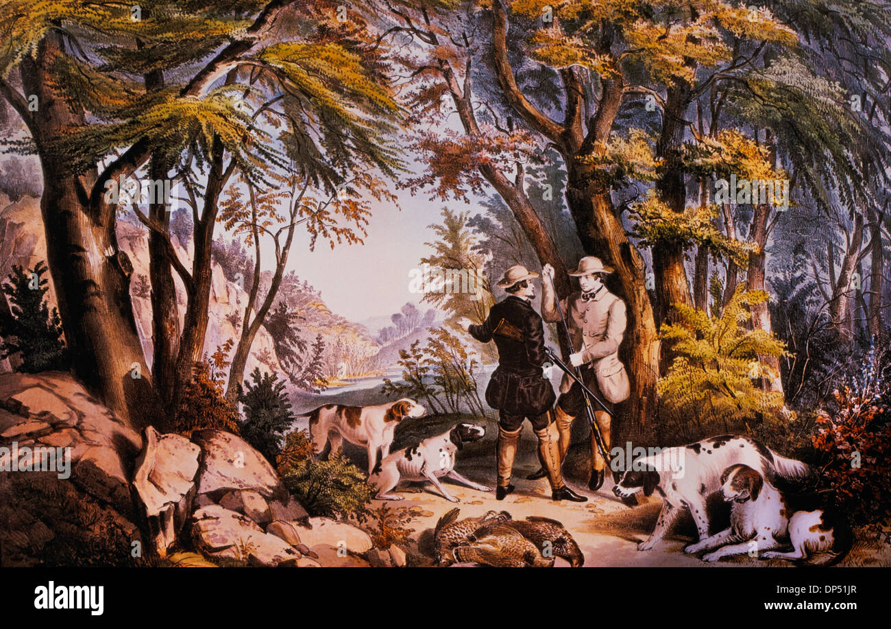 Partridge Shooting, Lithograph, Nathaniel Currier, 1852 Stock Photo - Alamy