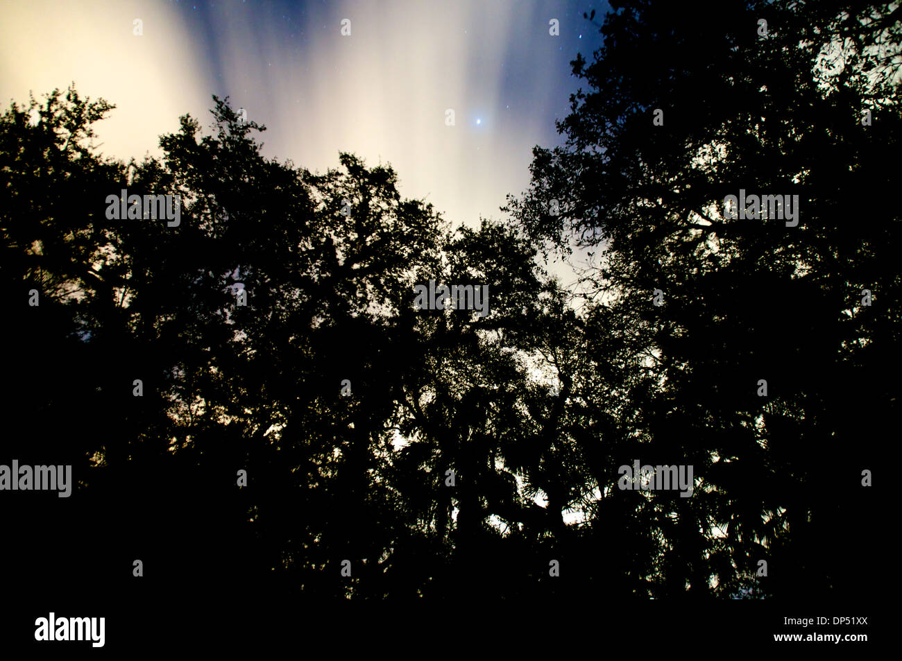 Stars through mist hi-res stock photography and images - Alamy