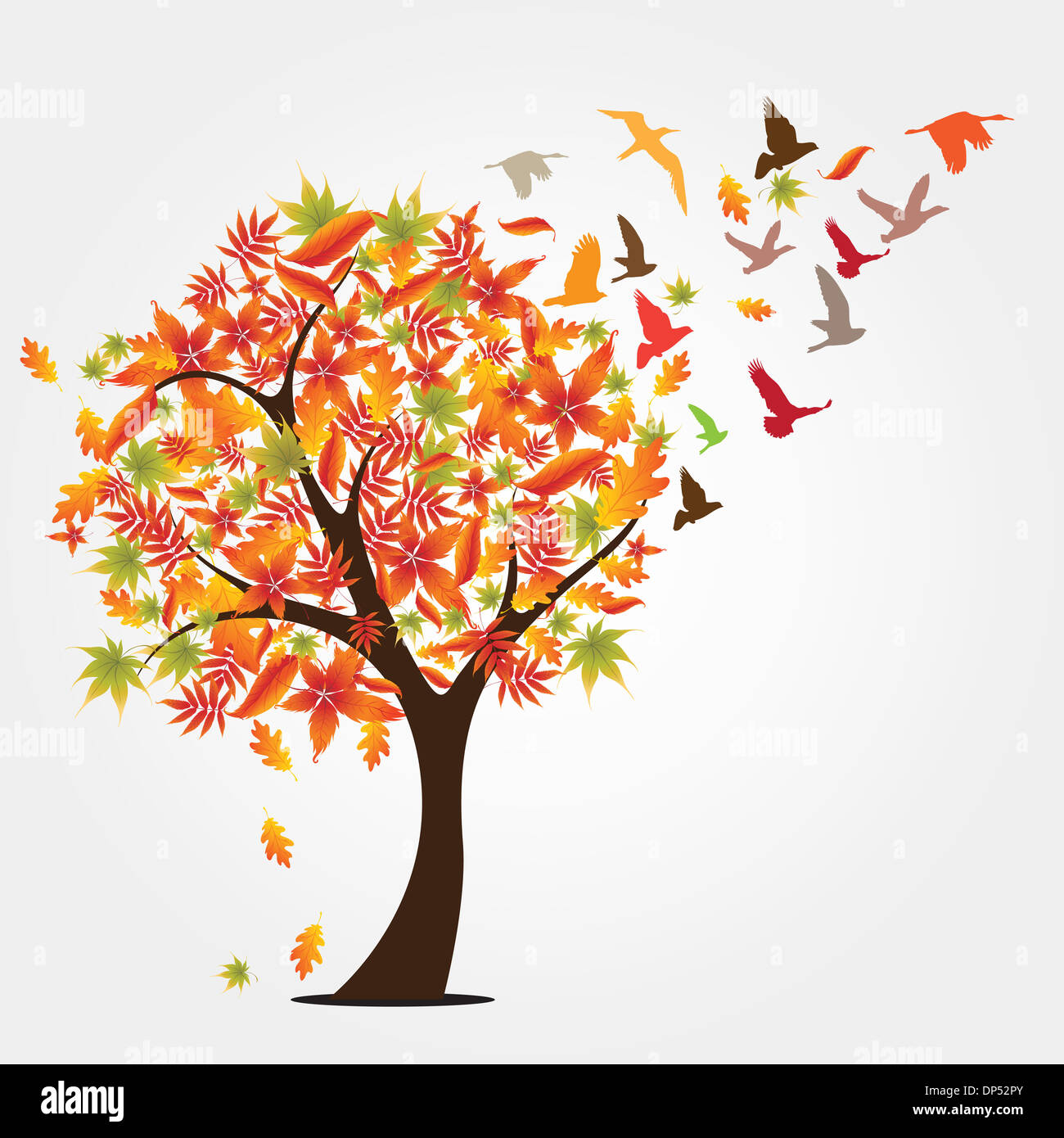Autumn tree with colorful leaves and flying birds Stock Photo - Alamy