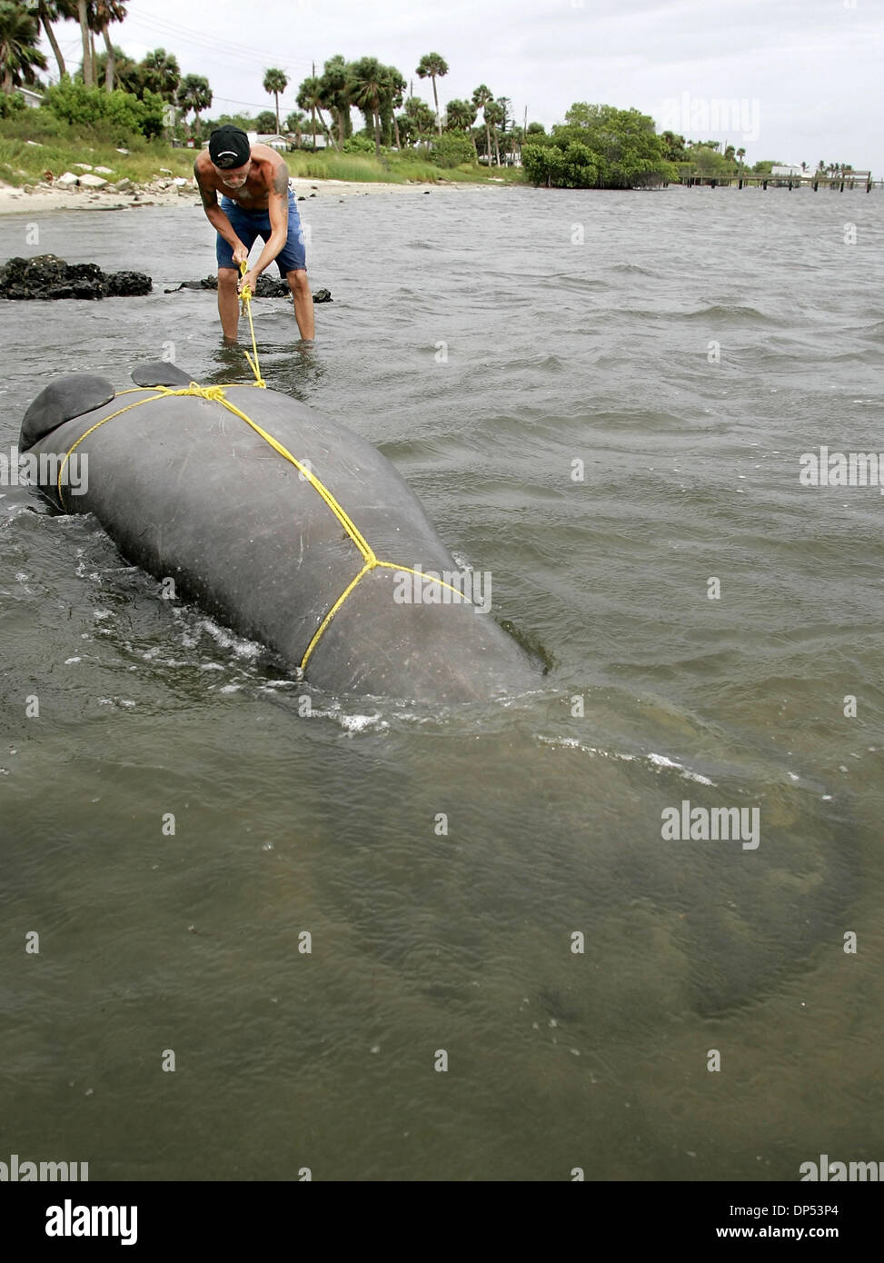 Manatee lagoon florida hi-res stock photography and images - Alamy