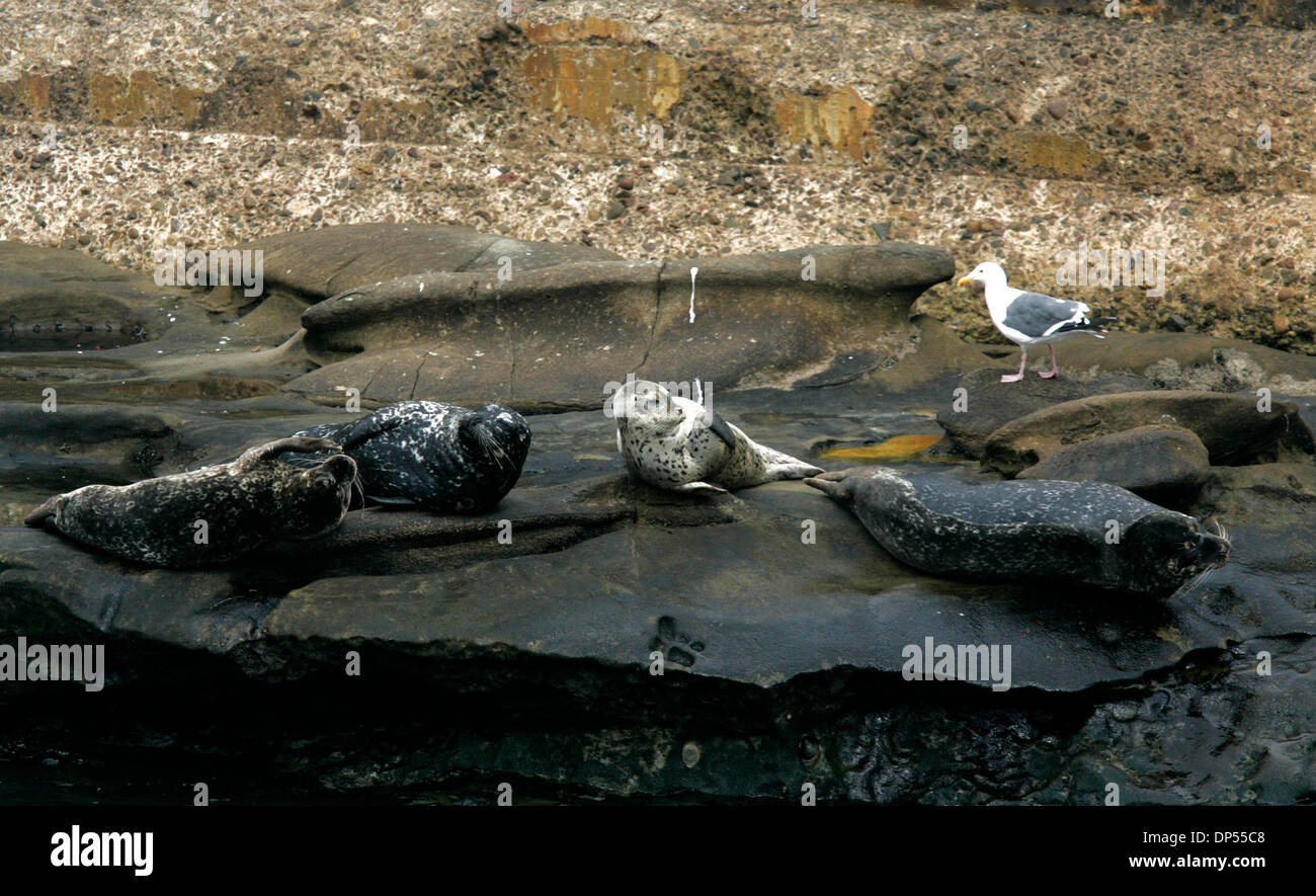 Laura seals hi-res stock photography and images - Alamy