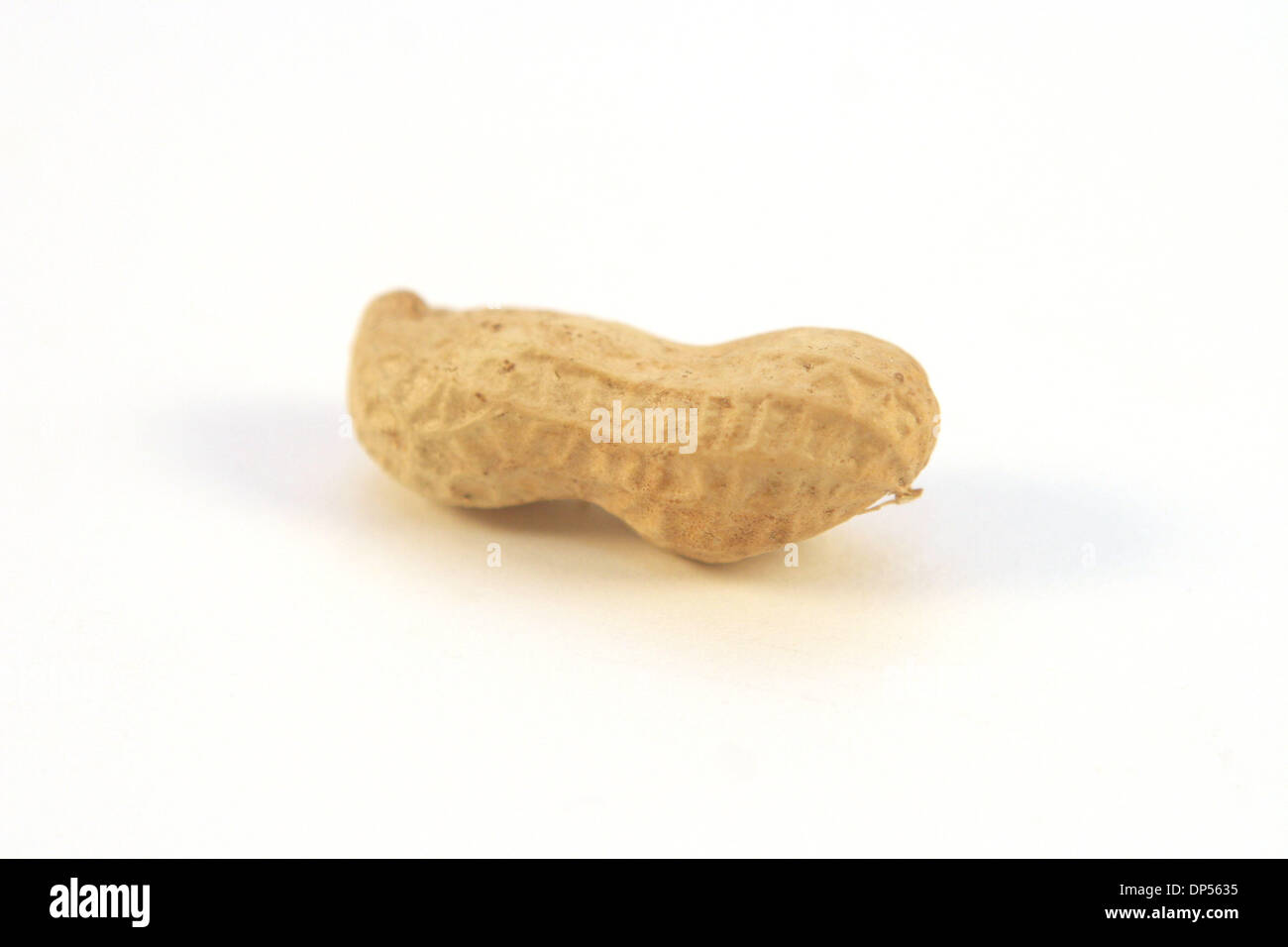 Sep 03, 2006; Los Angeles, CA, USA; Peanuts are a rich source of ...