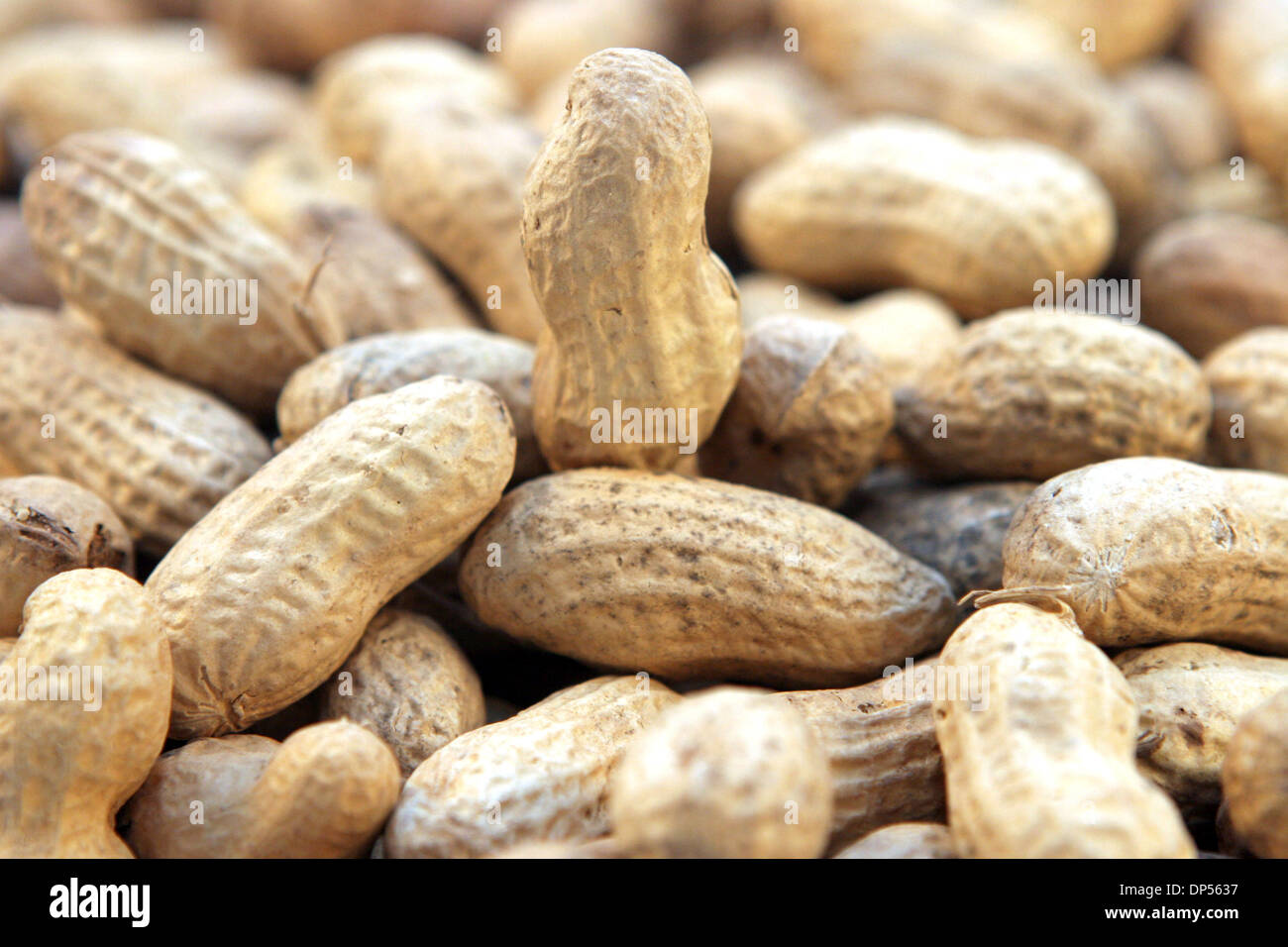 Roasting of grams hi-res stock photography and images - Alamy