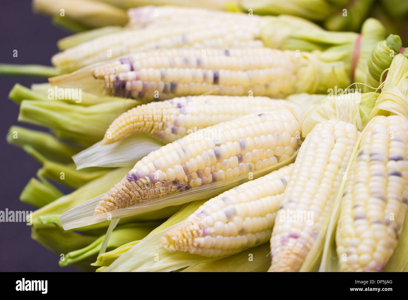 Ears fresh sweet corn hi-res stock photography and images - Alamy