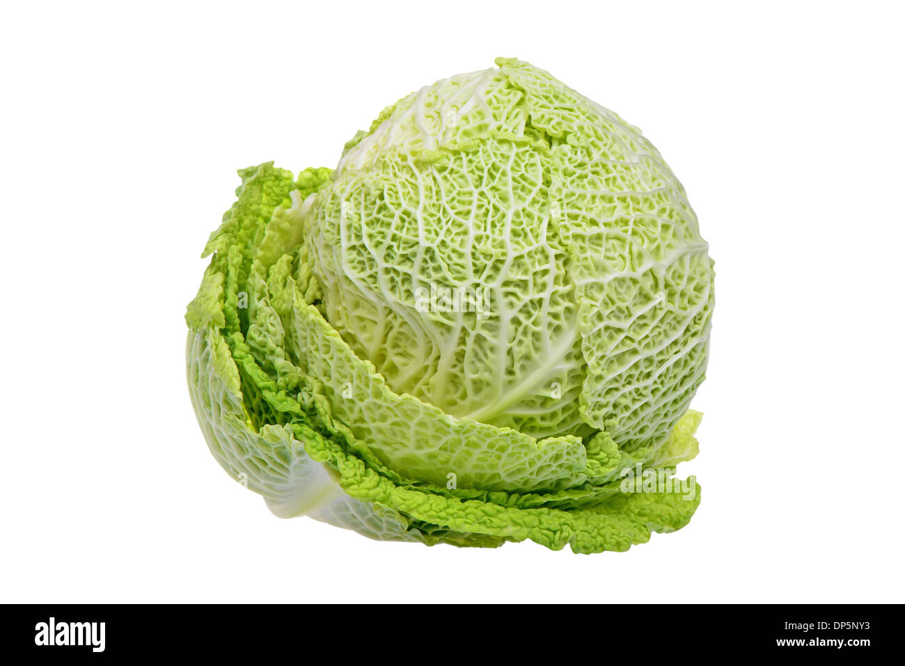Object on white cabbage hi-res stock photography and images - Alamy