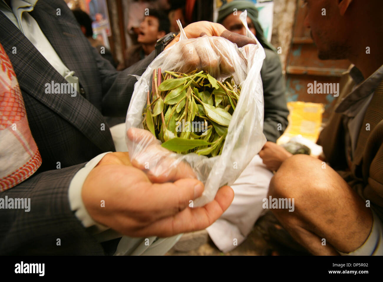 Qat leaves yemen hi-res stock photography and images - Alamy